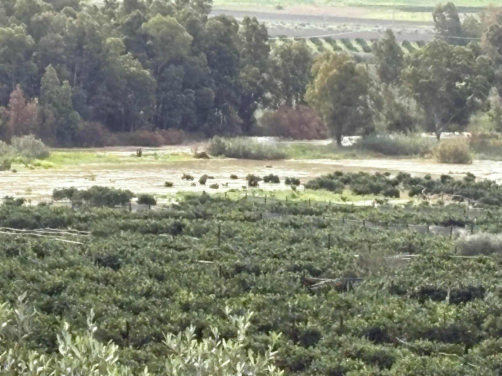 Paradosso siciliano: lago Gorgo vuoto nonostante le piogge, agricoltori ...