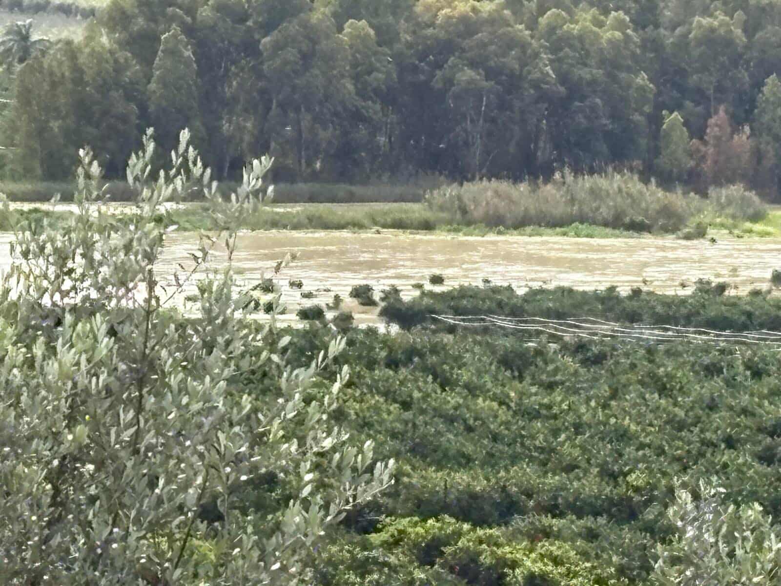 Paradosso siciliano: lago Gorgo vuoto nonostante le piogge, agricoltori ...